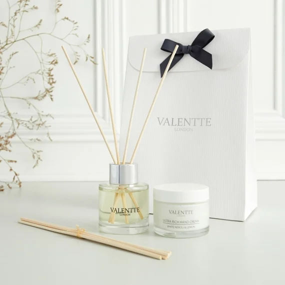 Mini Diffuser & Hand Cream Gift Bag – Valentte.com