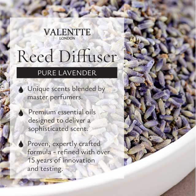 Reed Diffuser – Pure Lavender – Valentte.com
