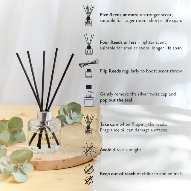 Original Diffuser Gift Box – Patchouli & Eucalyptus – Valentte.com